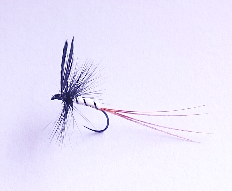 Flies – Sussex Trout Fishing … and Devon
