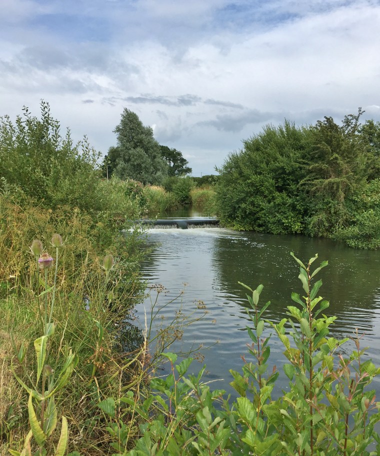 21 July – The Weir Pool – Sussex Trout Fishing … and Devon