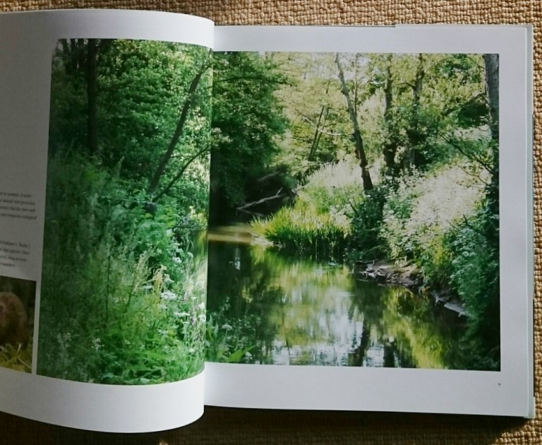 3 December – ‘River’ – Sussex Trout Fishing … and Devon