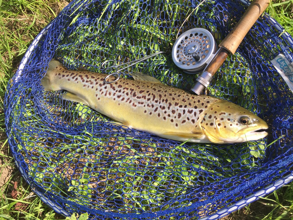 22 May – Keeper’s Bridge – Sussex Trout Fishing … and Devon
