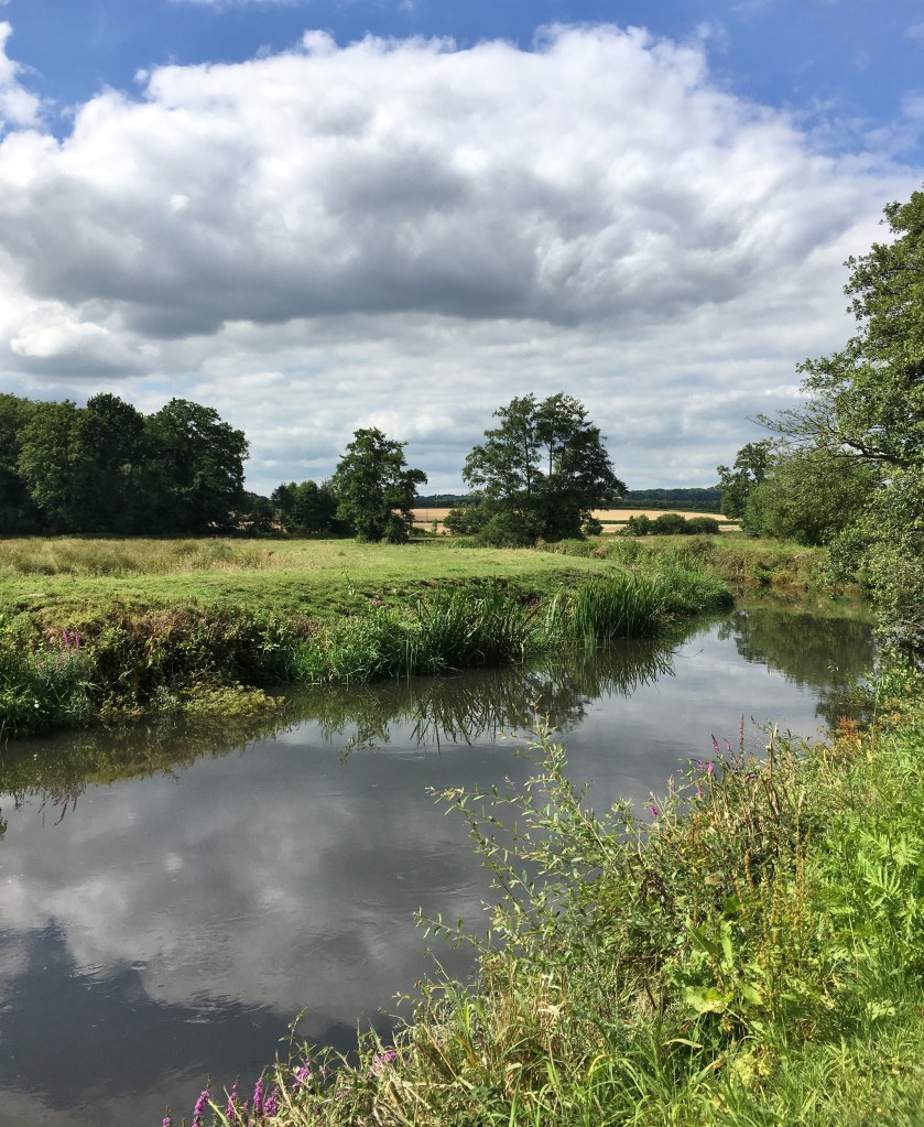 12 July – Summer Spate – Sussex Trout Fishing … and Devon