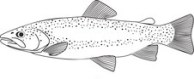 23 August – River Plym – Sussex Trout Fishing … and Devon