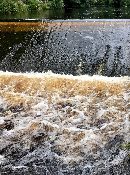 22 June – River Tavy – Sussex Trout Fishing … and Devon