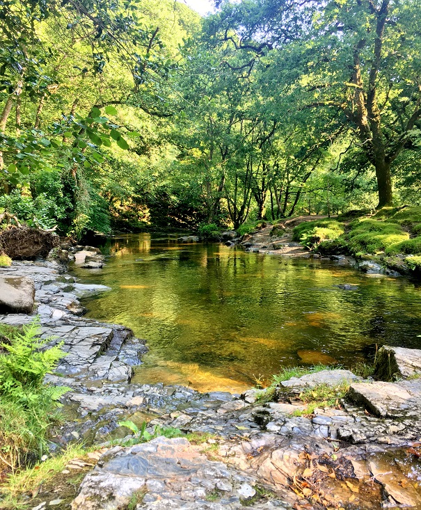 23 June – Rivers Walkham and Tavy – Sussex Trout Fishing … and Devon