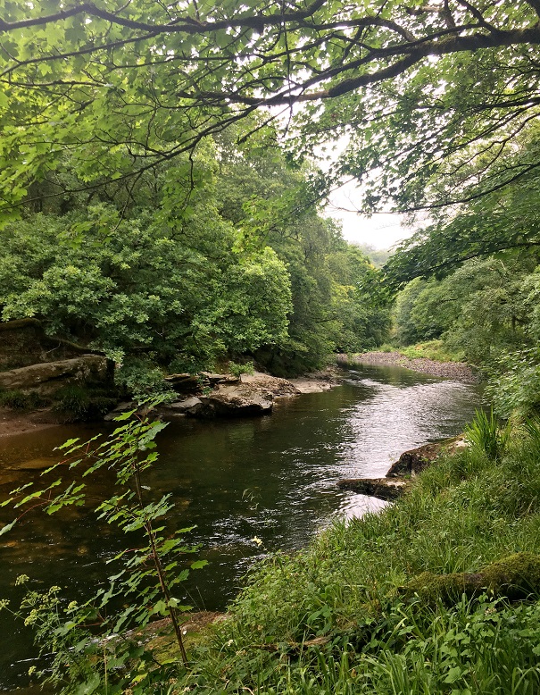 13 July – River Tavy – Sussex Trout Fishing … and Devon