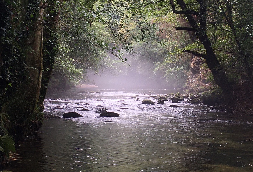 15 September – River Plym – Sussex Trout Fishing … and Devon