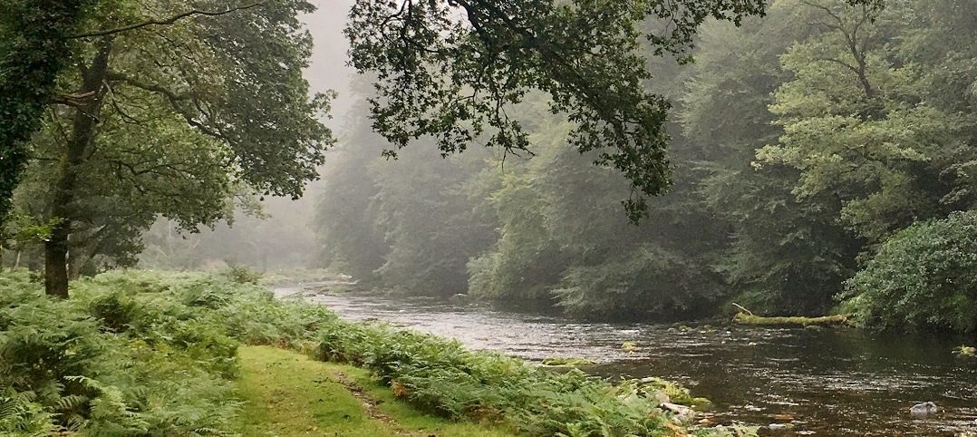 10 September – River Tavy – Sussex Trout Fishing … and Devon
