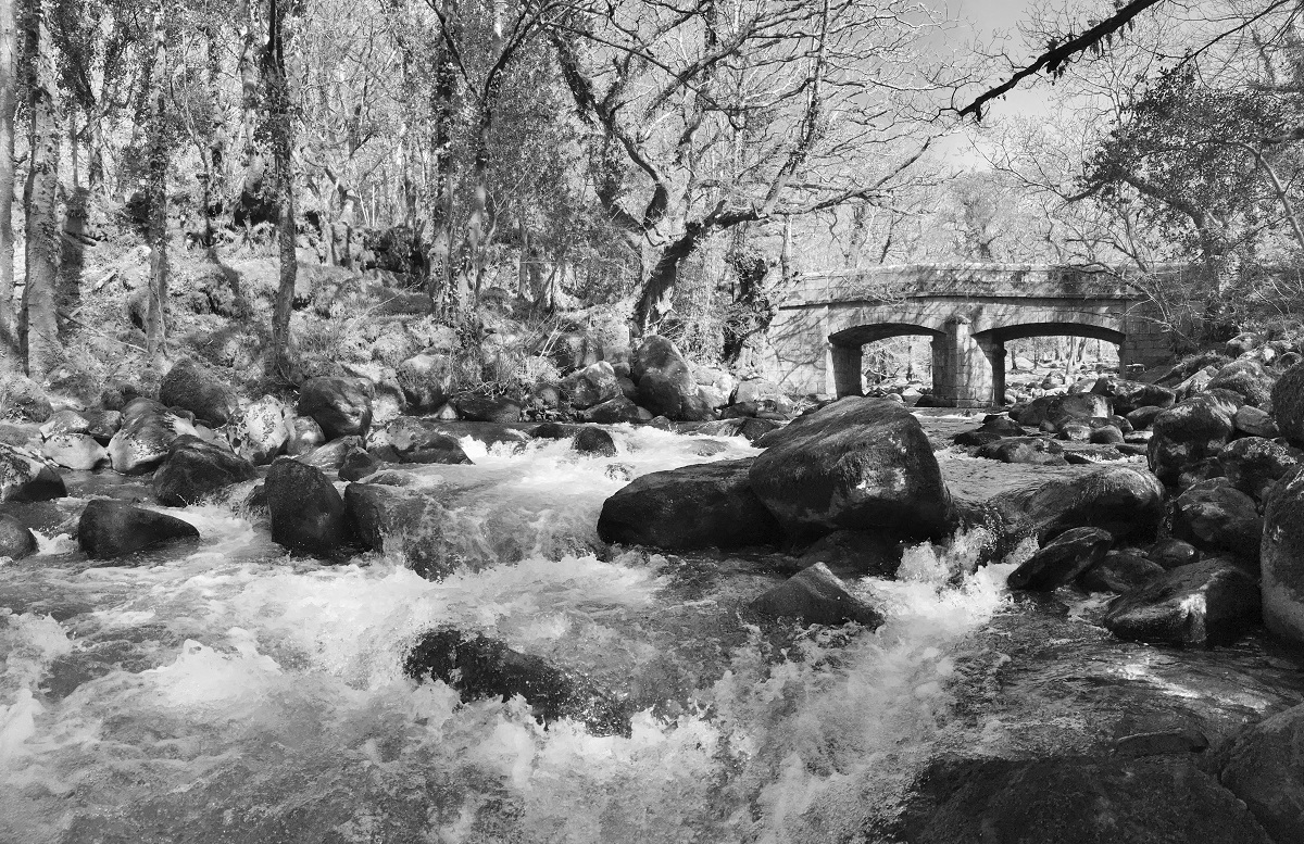 22 March – River Plym – Sussex Trout Fishing … and Devon