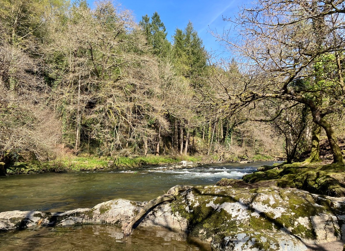 7 April – River Tavy – Sussex Trout Fishing … and Devon