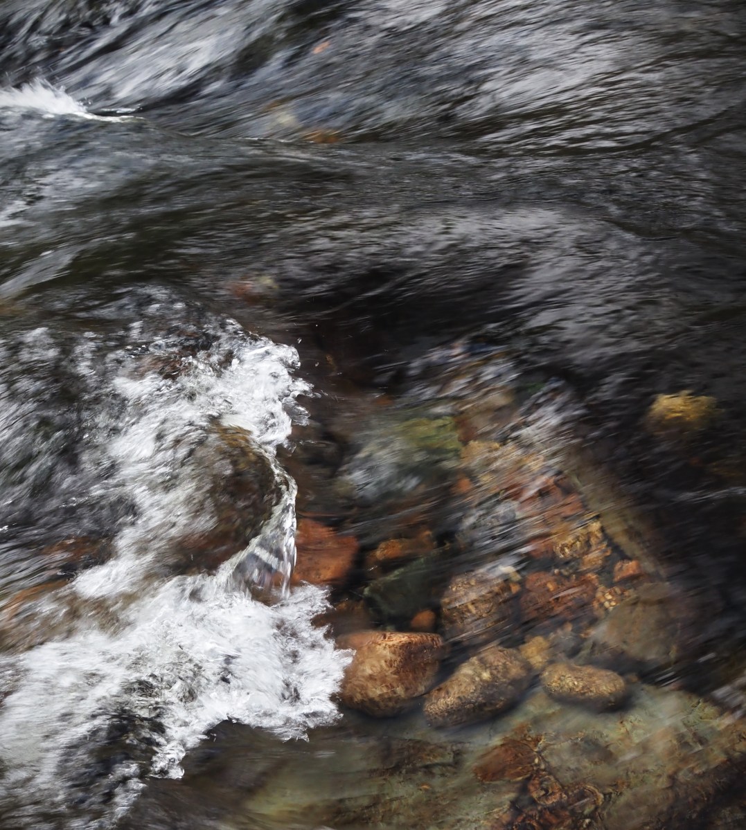 2 April – River Walkham – Sussex Trout Fishing … and Devon